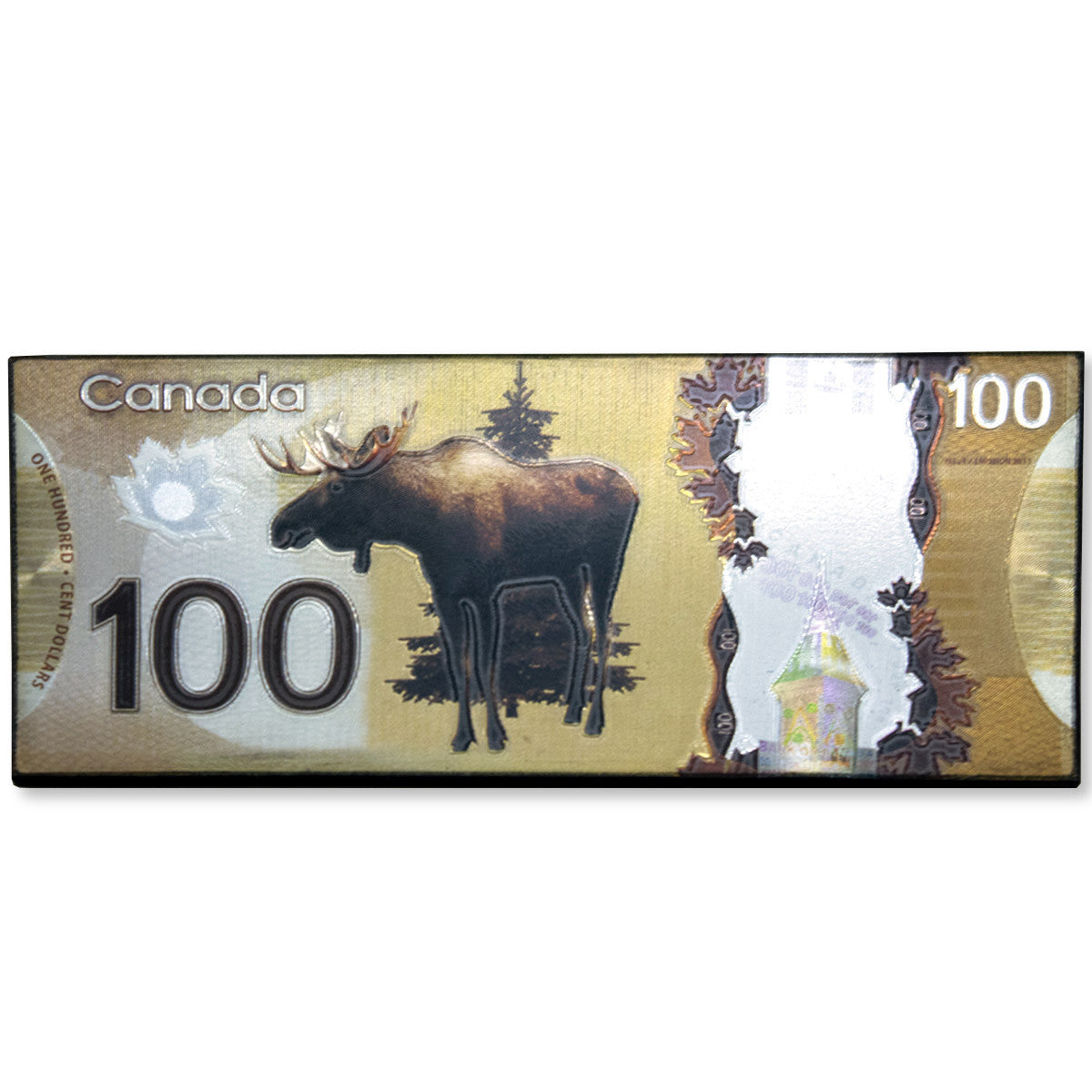 Canadian Dollar Bill Magnet | Carlbergs Gift Shop